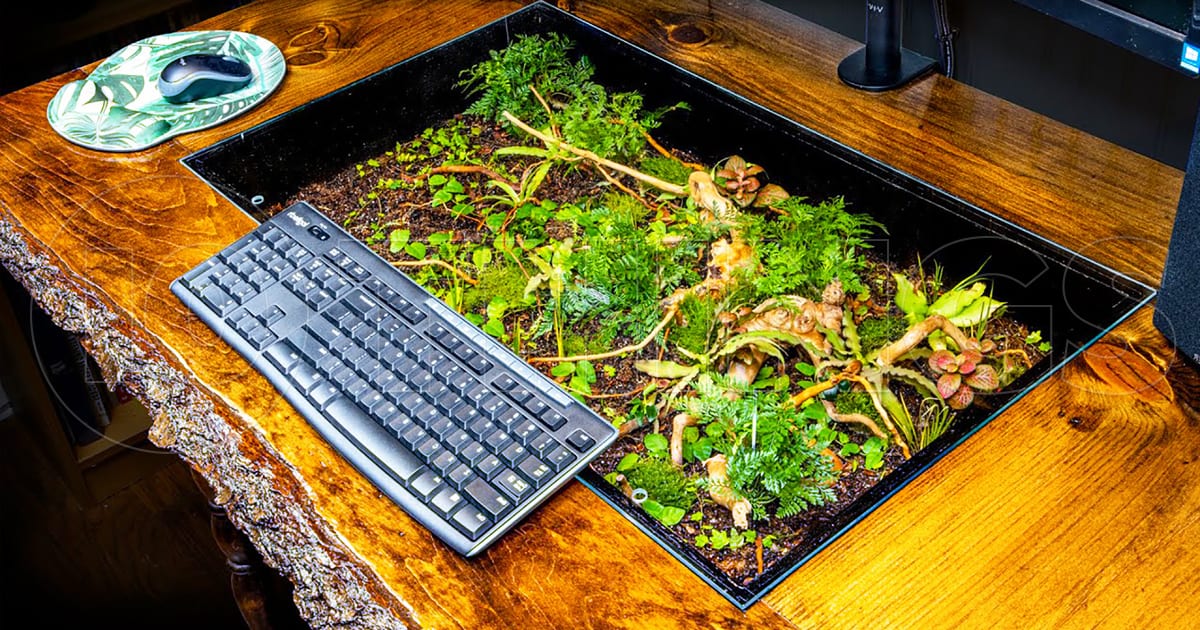 DIY Terrarium Computer Desk Is The Best Weekend Project Ever – 10 ...