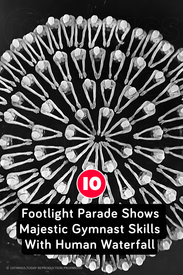 Footlight Parade Shows Majestic Gymnast Skills With Human Waterfall ...